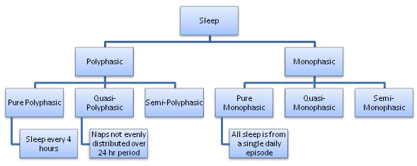 Normal Sleep | Sleep Habits | Definitions and Tips for Normal Sleep